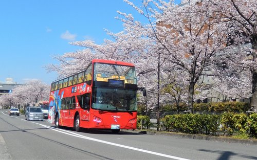 Top 10 Kioto Hop-on hop-off 2026 - Klook