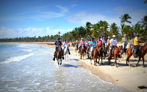 Best Punta Cana Wildlife 2026