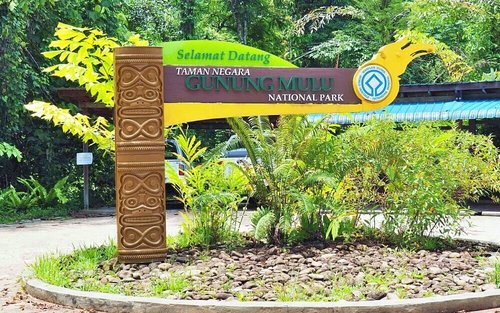 Top 10 Kuching Division Hiking 2026 - Klook India
