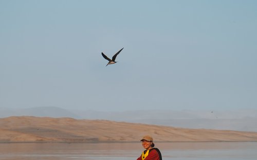 Top 10 Activities in Paracas 2026 - Klook Hong Kong
