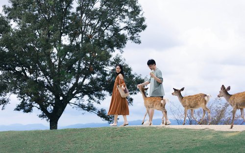 Top 10 Nara Photoshoot 2026 - Klook Philippines