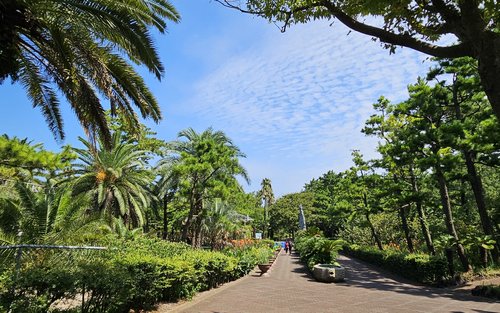 Best things to do in Hyeopjae Cave: Hallim Park, South Korea 2026