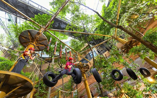 Chocolate Museum: Everything You Need Before Visiting
