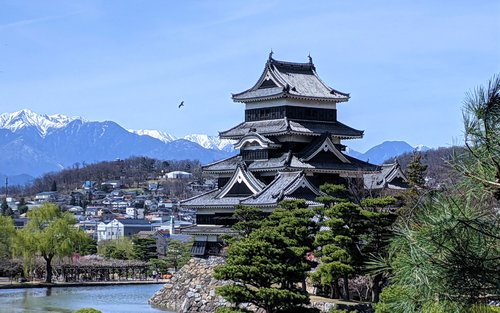 Best Matsumoto Castle Park Tours, Japan 2026