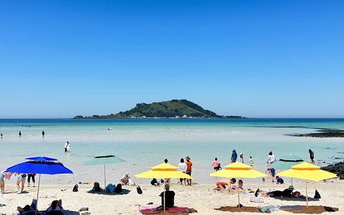 Best things to do in Hyeopjae Cave: Hallim Park, South Korea 2026