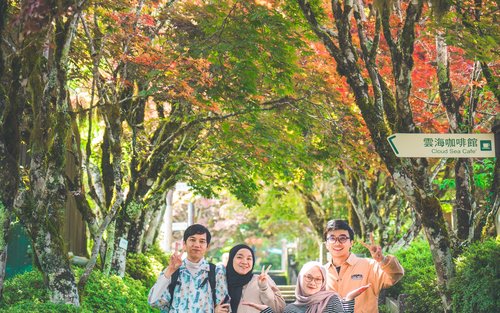 Best Taiping Mountain Tours, Taiwan 2026