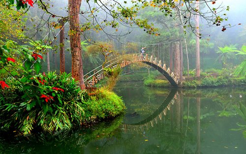 Xitou Monster Village Must-See Attractions, Location & Reviews