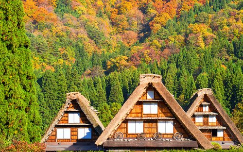 Top 10 Inuyama Multi-day tours 2025 - Klook