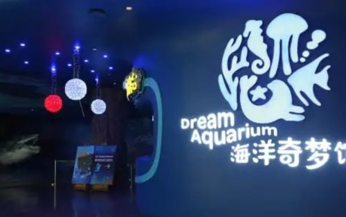 COCO Park: Everything You Need Before Visiting