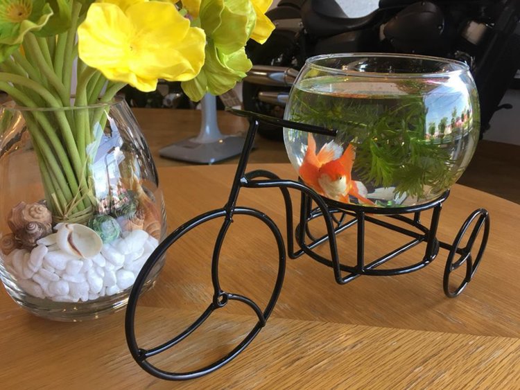 KaKa Hotel Han River in Da Nang | 2026 Updated prices, deals - Klook ...