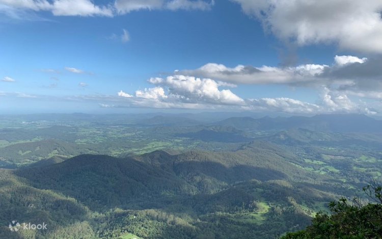 Excursión al arco natural y Springbrook desde Gold Coast, Queensland ...