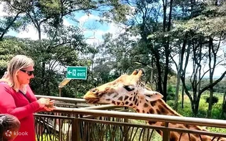 蒙巴薩：岸上游覽和城市歷史導覽遊。 - Klook香港