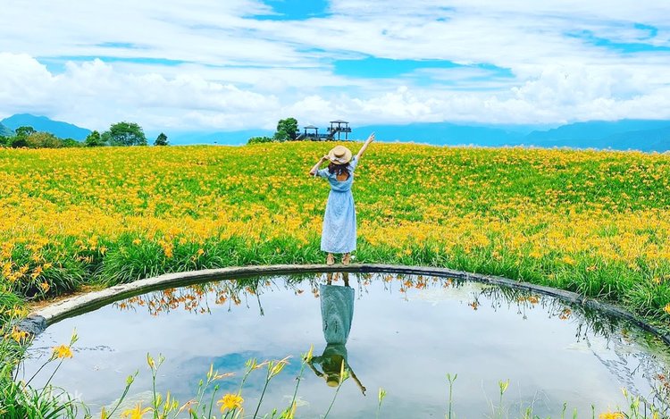 Hualien Sixty Stone Mountain Flower Sea Half-Day Tour - Klook