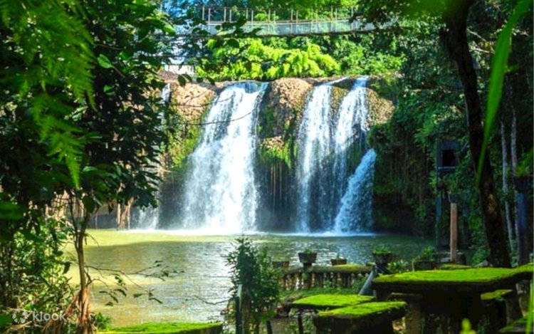 Tour notturno di Cairns a Paronella Park Città del Cielo con lucciole Blue Ray e cena inclusa ...