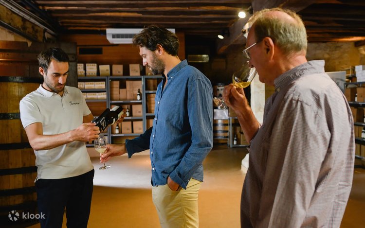 Burgundy Full-Day E-Bike Wine Tour from Beaune - Klook United Kingdom