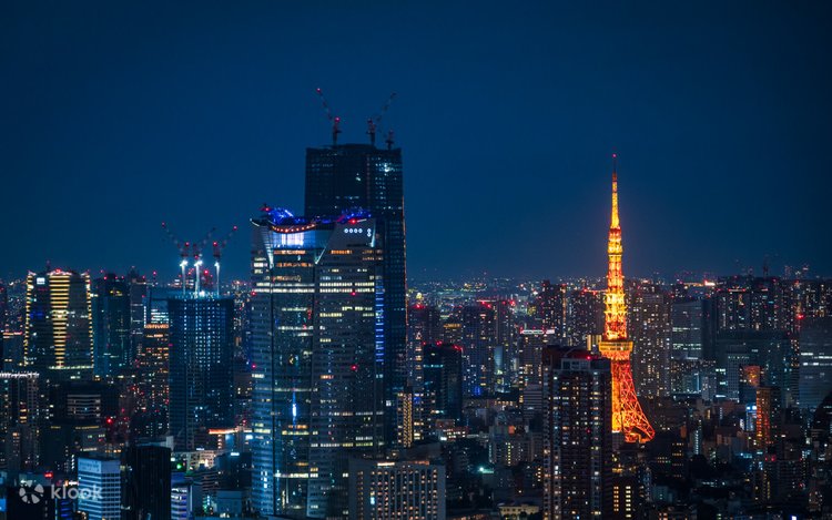 Shibuya Sky & Neighborhood Half-day Walking & Guided Tour - Klook ...