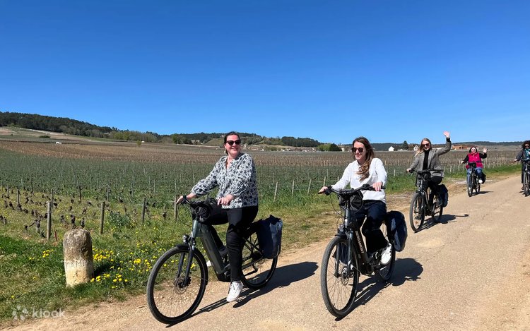 Burgundy Full-Day E-Bike Wine Tour from Beaune - Klook United Kingdom