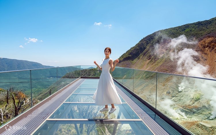 Mount Fuji & Hakone Day Tour with Hotel Pick-up - Klook