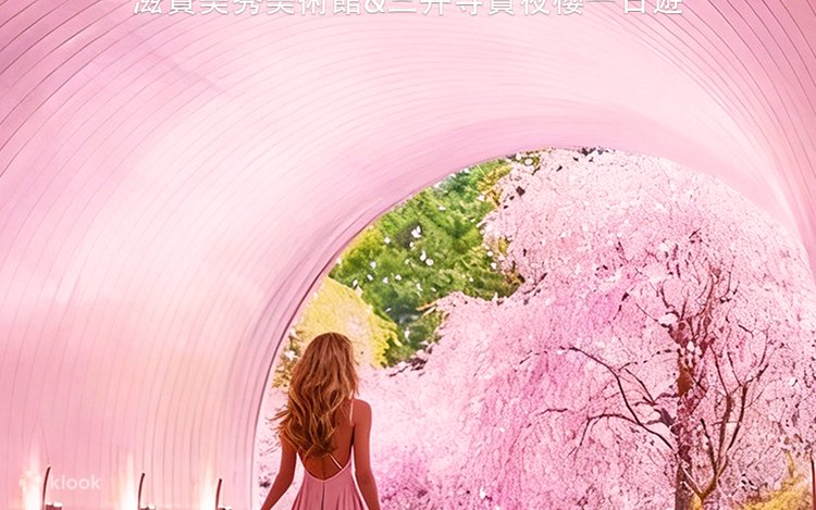 Tour ngắm hoa anh đào đêm ở Bảo tàng Miho & Chùa Mii-dera (Khởi hành từ ...