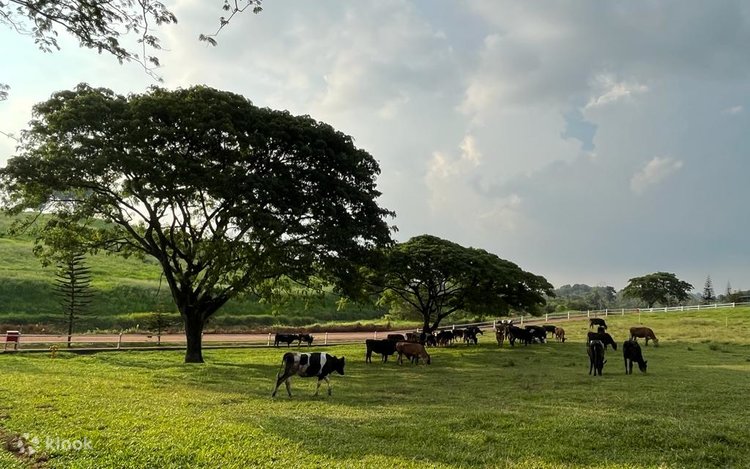 Farm Fresh at UPM, Seri Kembangan in Selangor Ticket (Direct Entry ...