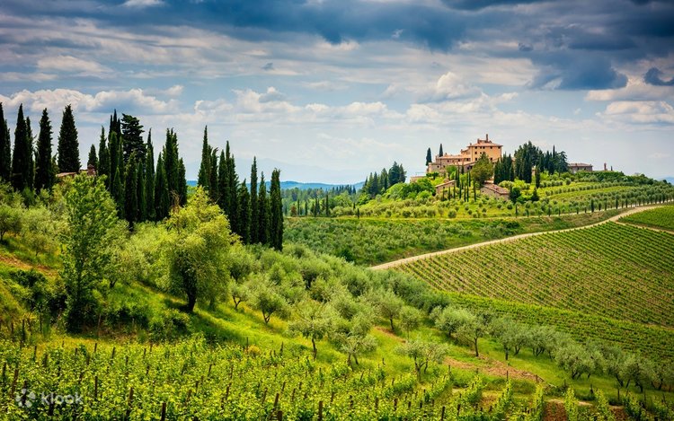 Chianti Half-Day Wine Tasting Tour - Klook India