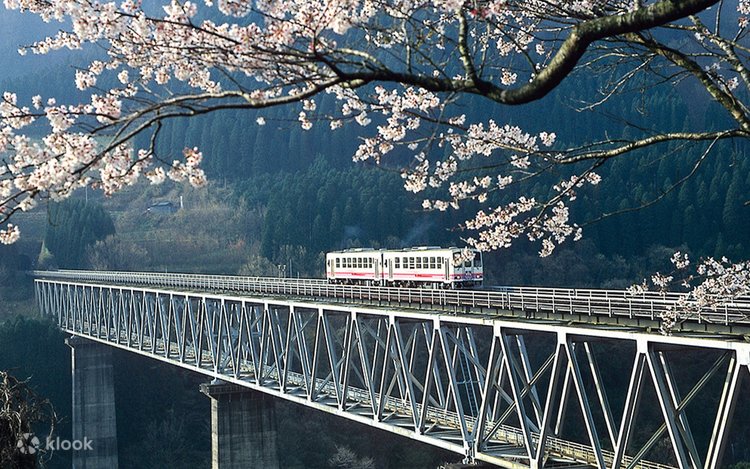 Must-Do from Kyushu Kumamoto | Miyazaki Takachiho Forest Train or ...