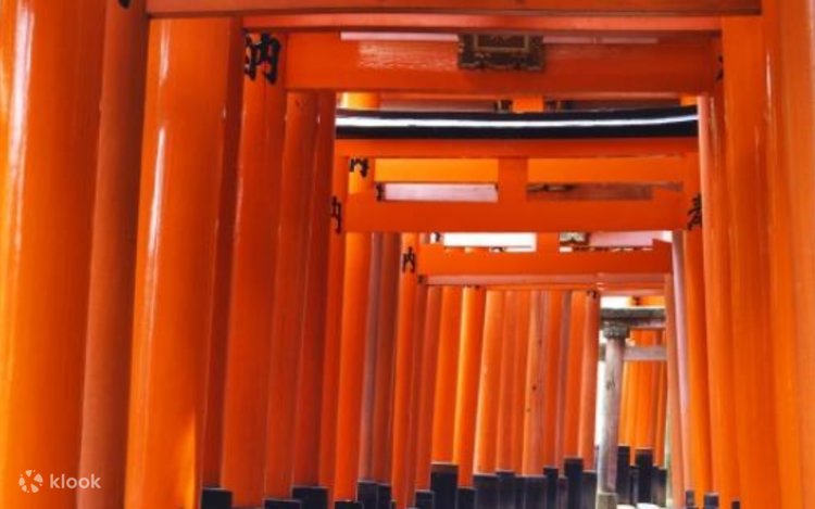 [1 person per trip, small group tour] Kyoto and Nara, two ancient cities, one day tour ...