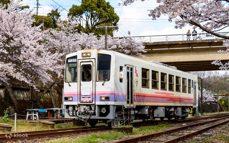 Must-Do from Kyushu Kumamoto | Miyazaki Takachiho Forest Train or ...