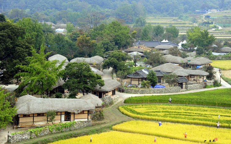 Oedoam Folk Village & Museum Full-Day Cultural Tour - Klook