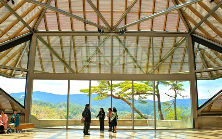 [Sakura Season Limited] Miho Museum × Mii-dera Temple Night Cherry ...