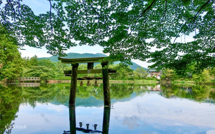 Kyushu: Nanzoin Temple, Dazaifu, Yufuin & Umi Jigoku Day Trip (From ...