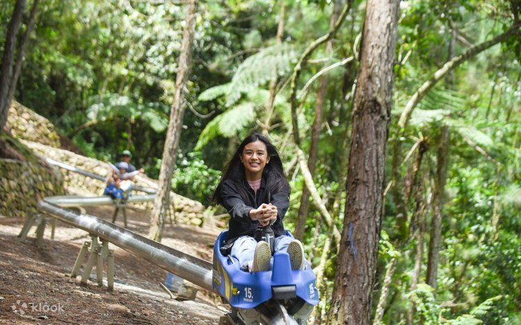 Dahilayan Adventure Park Ticket in Bukidnon - Klook Philippines