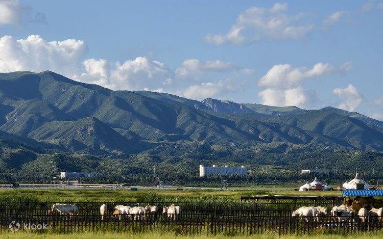 Hohhot Chilechuan & Hongshiya Day Tour with Small Group - Klook