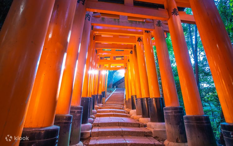 Tour di un giorno al Santuario di Fushimi Inari, al Kinkaku-ji ...