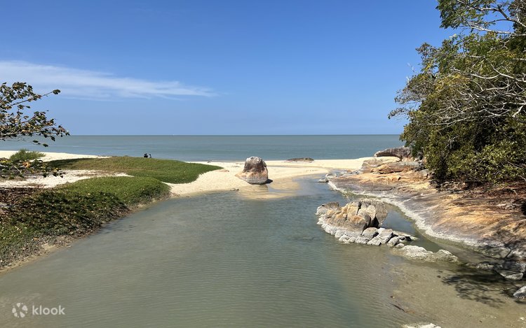 Penang National Park Jungle Trekking Private Full-Day Tour - Klook