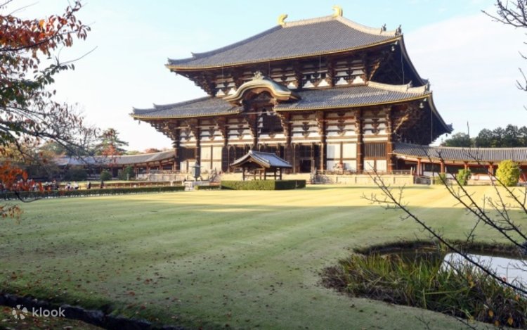 Artistic and In-depth Tour: One-Day Trip to Nara, Uji, and Hot Springs ...