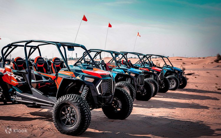 Aventure privée d'une demi-journée en Polaris RZR Buggy au camp dans le ...