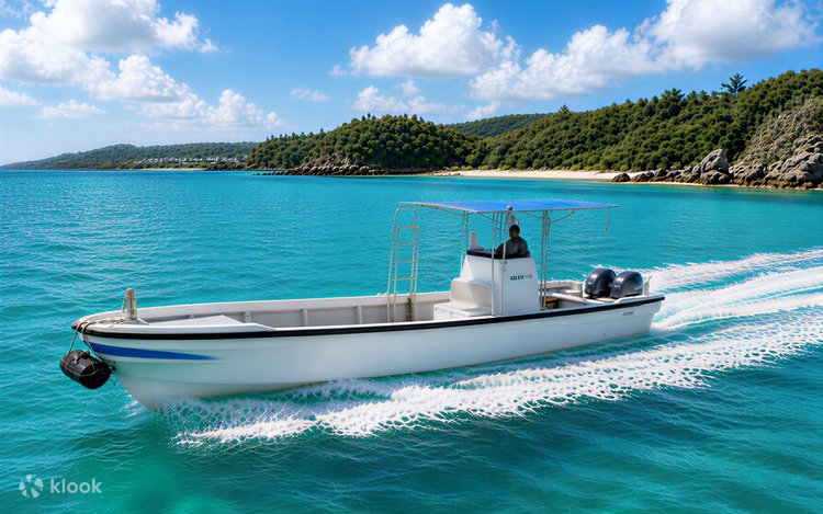 Okinawa: Blue Cave Introductory Dive (Boat Trip) - Klook