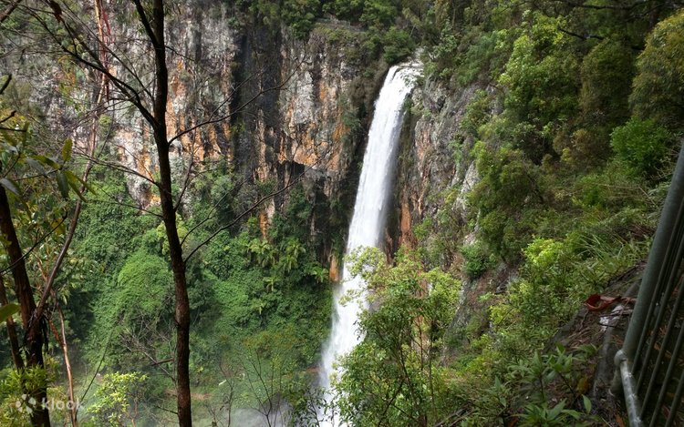 Excursión al arco natural y Springbrook desde Gold Coast, Queensland ...