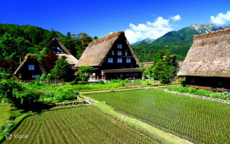 Shirakawago & Tsuruga Lantern Floating Fireworks 2-Day Tour - Klook