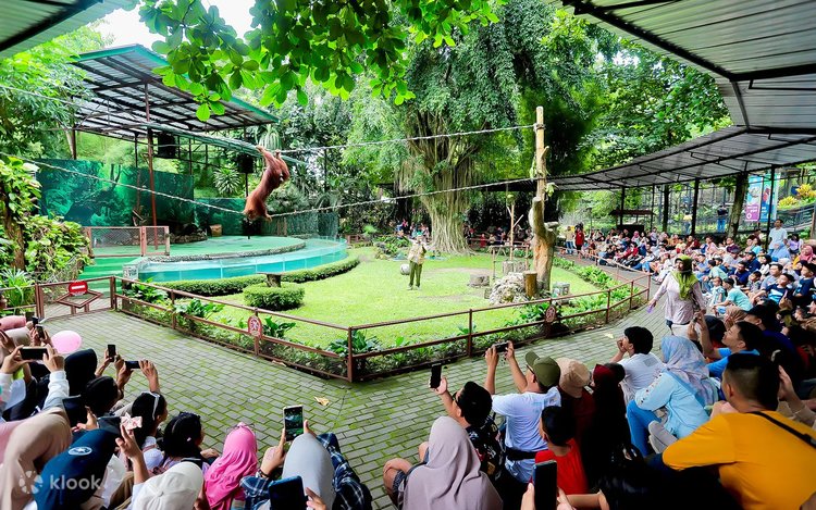 Tiket Gembira Loka Zoo di Yogyakarta - Klook Indonesia