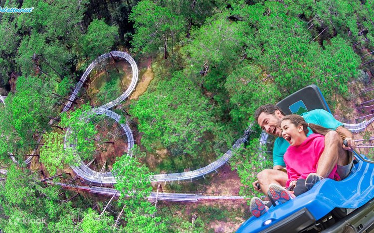 Datanla New Alpine Coaster Experience in Da Lat, Vietnam - Klook Australia