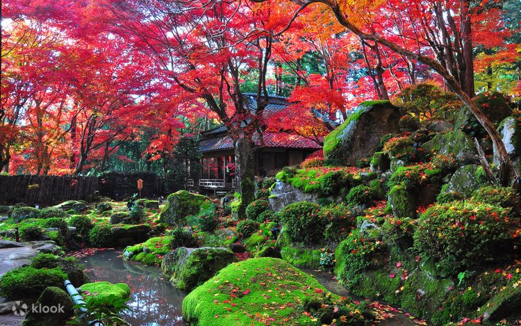 Limited Autumn Foliage Viewing | Hieizan Enryaku-ji Temple Visit ...