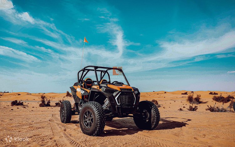 Petualangan Pribadi Setengah Hari dengan Polaris RZR Buggy di Abu Dhabi ...