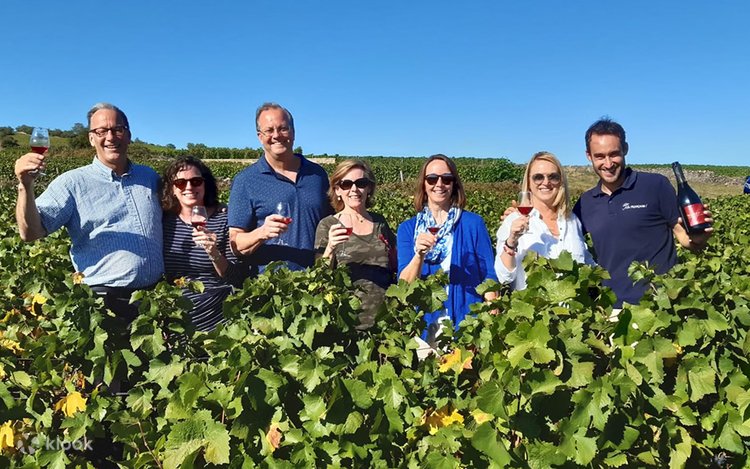 Burgundy Full-Day E-Bike Wine Tour from Beaune - Klook United Kingdom