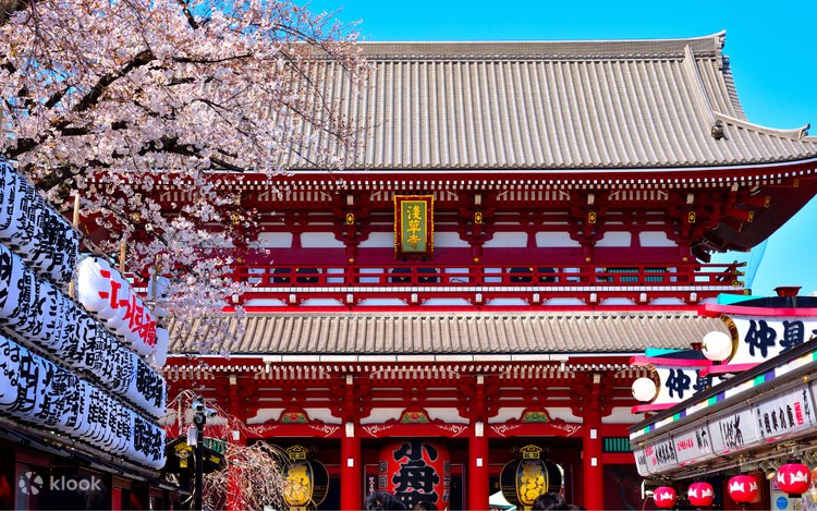 Asakusa, Kappabashi, and Ueno Walking Tour: Experience Tokyo's History ...