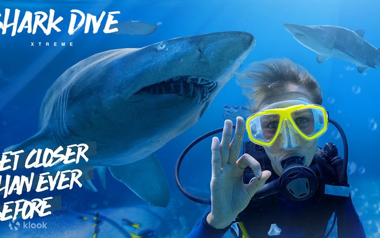 SEA LIFE Sunshine Coast Aquarium Shark Dive Xtreme Experience - Klook