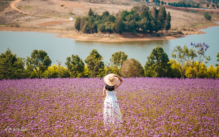 5-day tour of Southeast Yunnan (5-9 seater car | Hani terraces | Hani ...