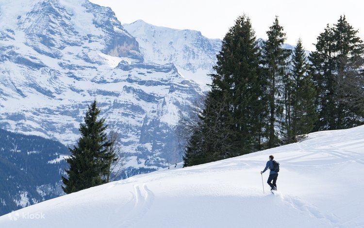 winter alpine adventure from Interlaken - Klook Philippines