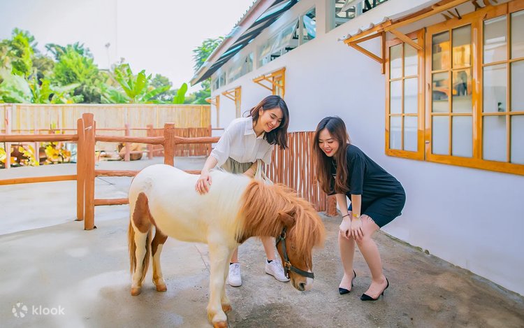 สวนสาธารณะวิทยาศาสตร์สแควร์ (Scientia Square Park (SQP Park)) ใน จาการ์ตา - Klook ประเทศไทย